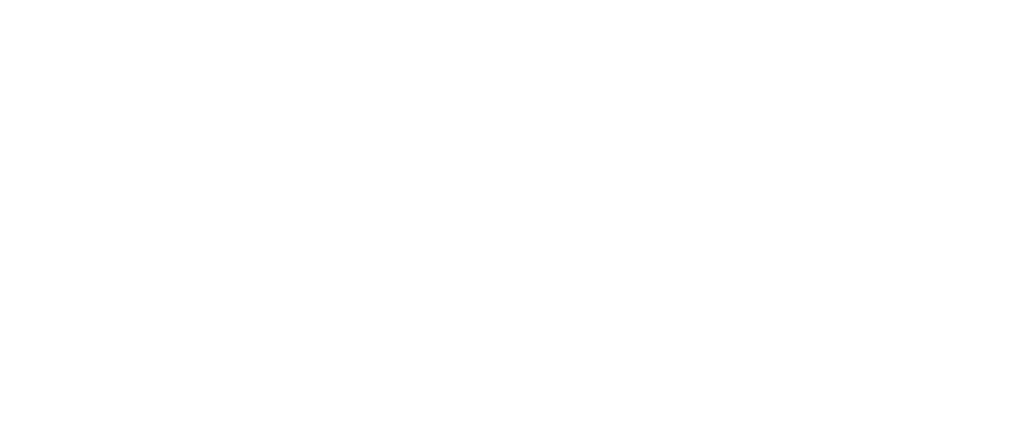 Américo Azevedo - PBS